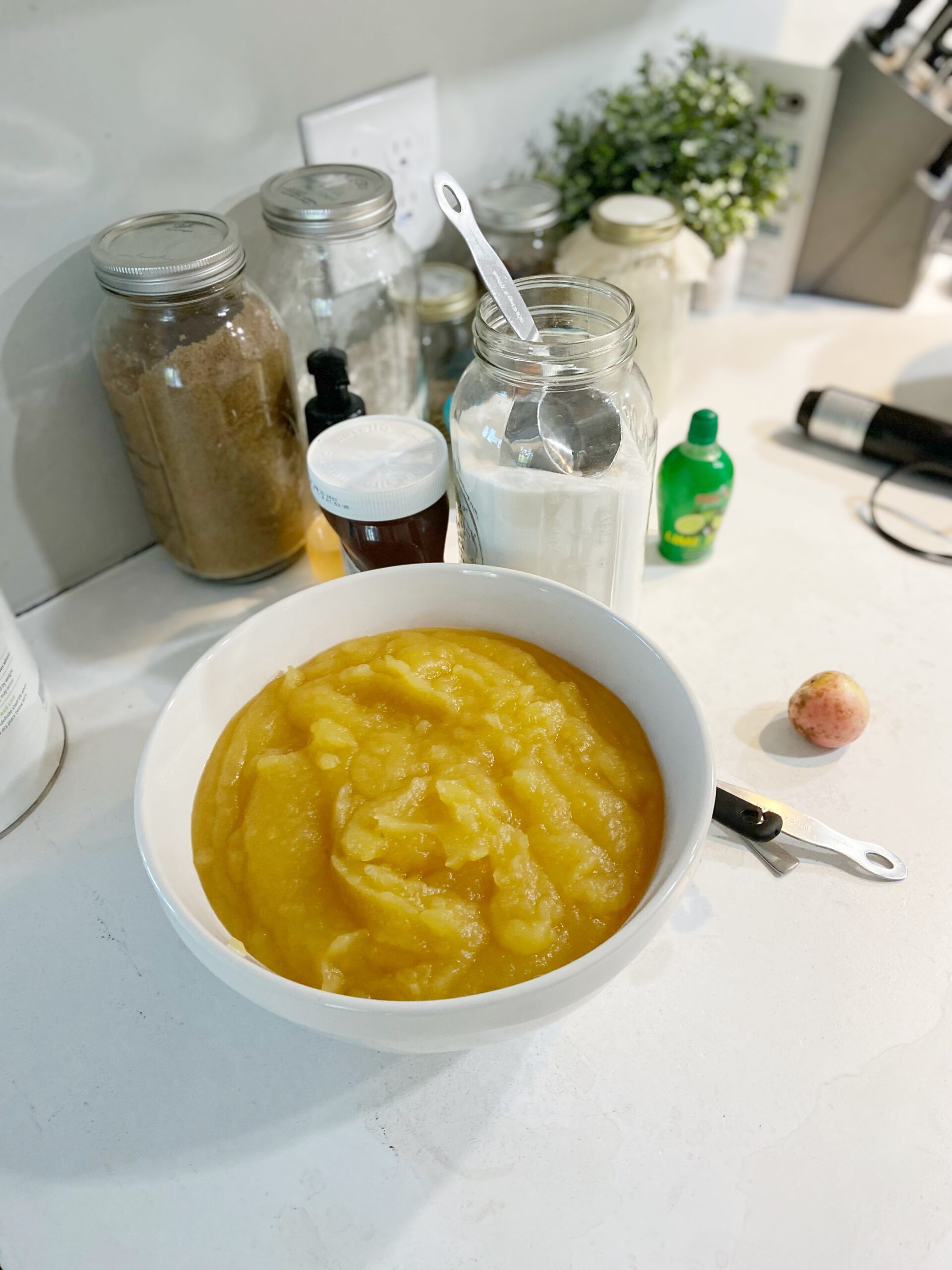 Best Recipe for Homemade Applesauce - Anderson Hill Homestead